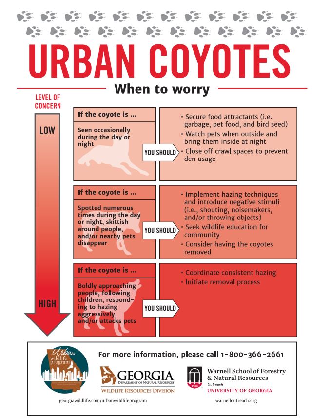 New Fact Sheets – Coyotes & Deer – Kohl Wildlife Lab