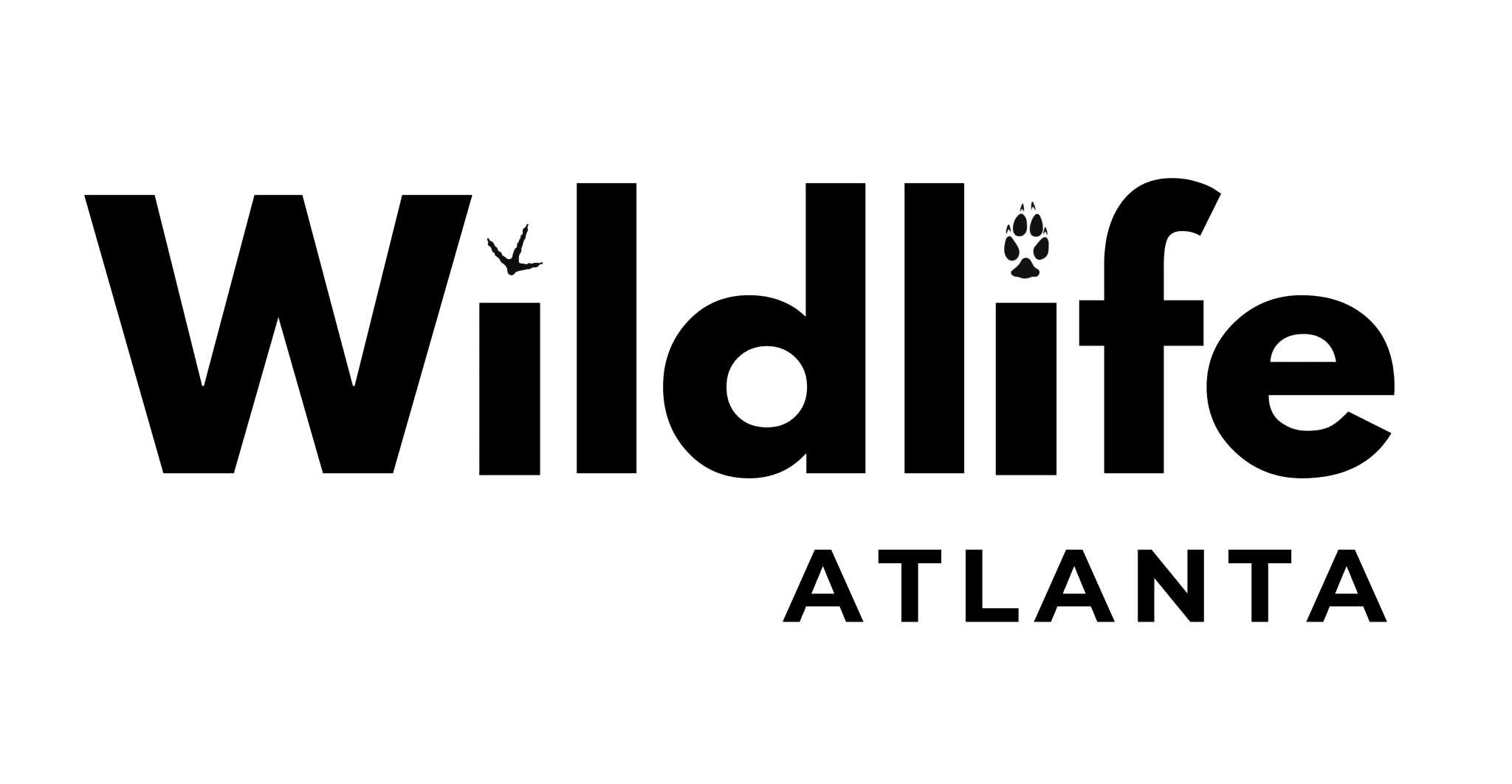 Wildlife Atlanta Project – Kohl Wildlife Lab